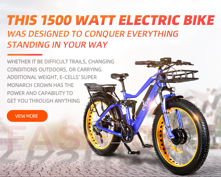 Professional Dual motor electric bike Supplier- ESHION