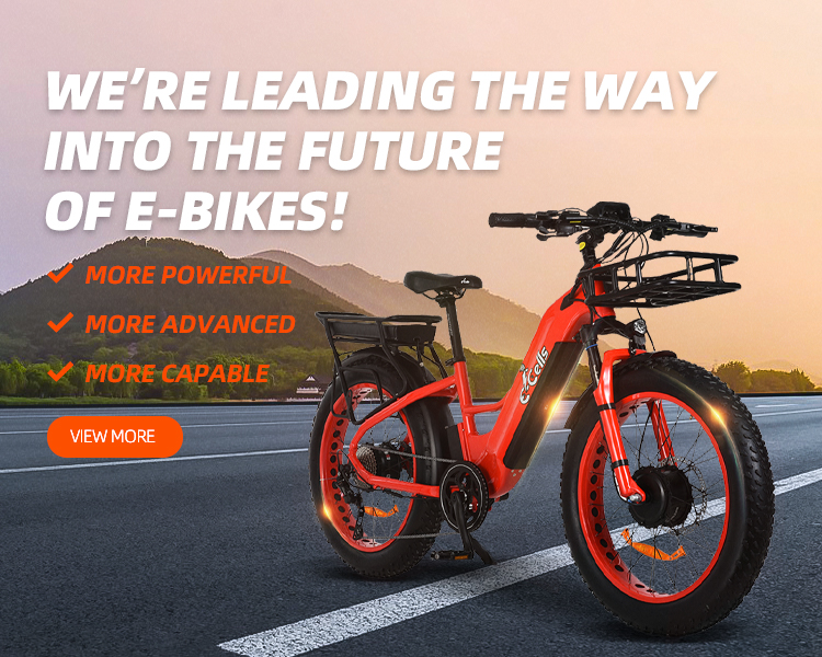 Professional Dual motor electric bike Supplier- ESHION